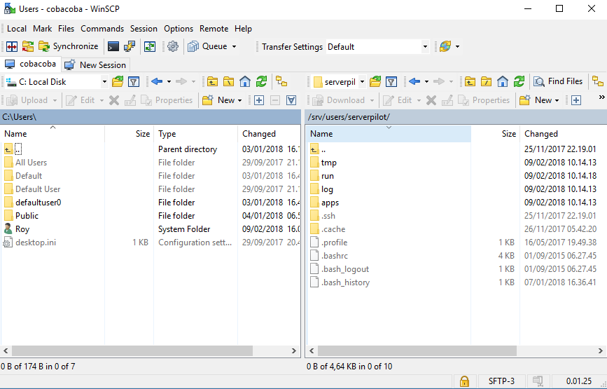Cara Mudah Manage File VPS Menggunakan WinSCP - RoyyanWeb